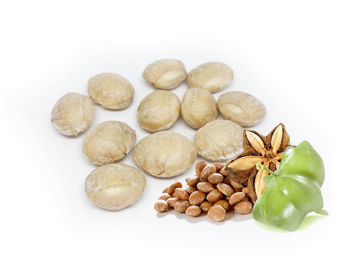 NUTS – Tan Tan Food