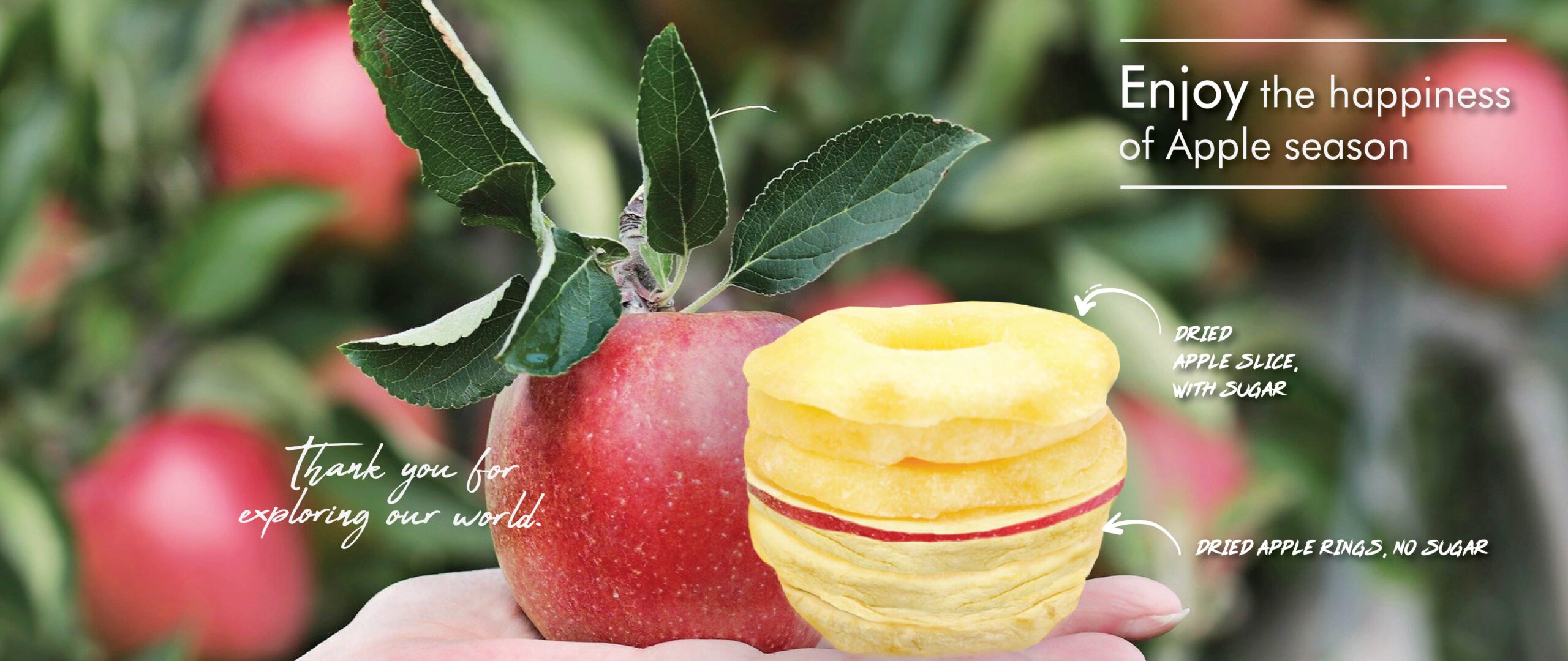 Tan Tan Food – We are Fruit Product Specialist