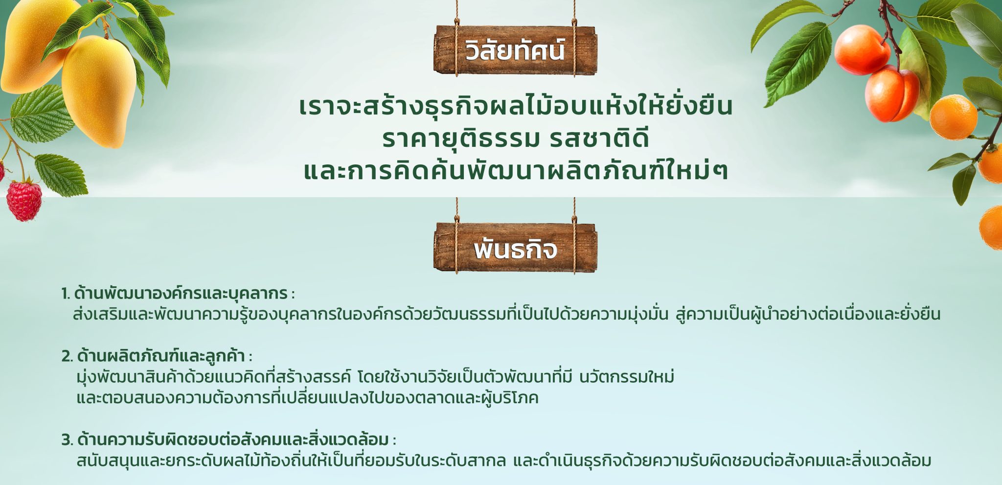 Tan Tan Food – We are Fruit Product Specialist